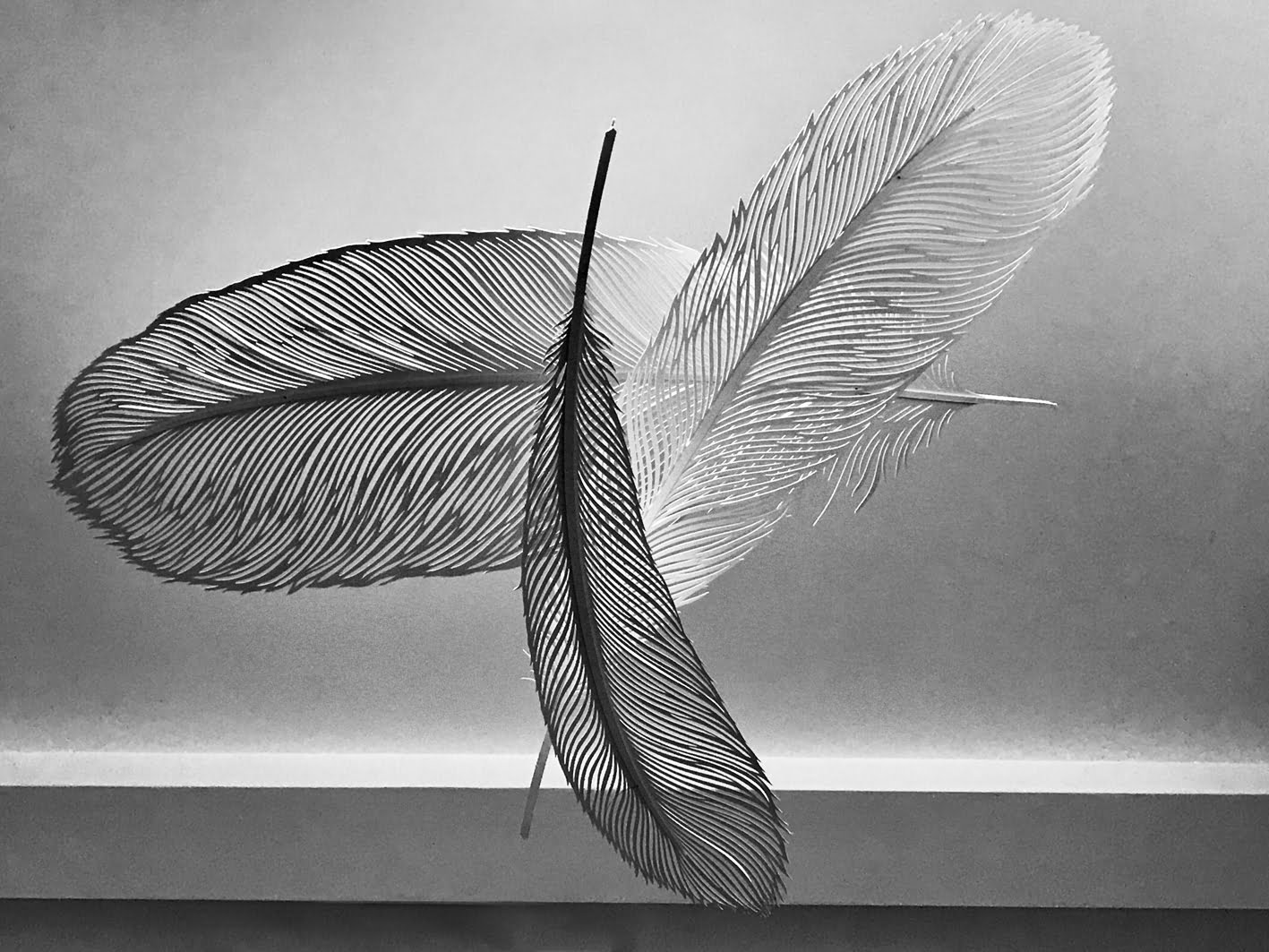 Paper planes and honest work | Sally Moss Editorial